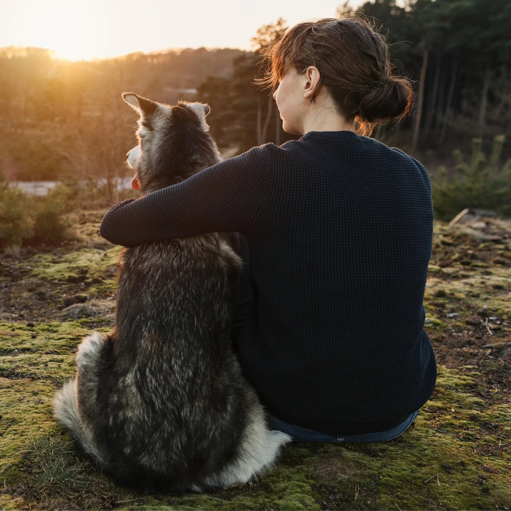 Cat Body Language Explained: What They're Telling You | YMOAs